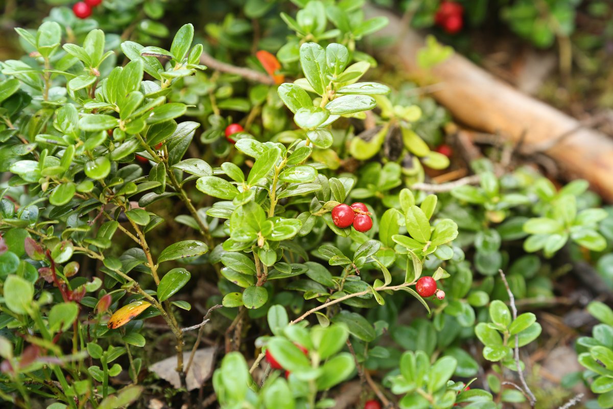 smartFLEX - Be smart and flexible